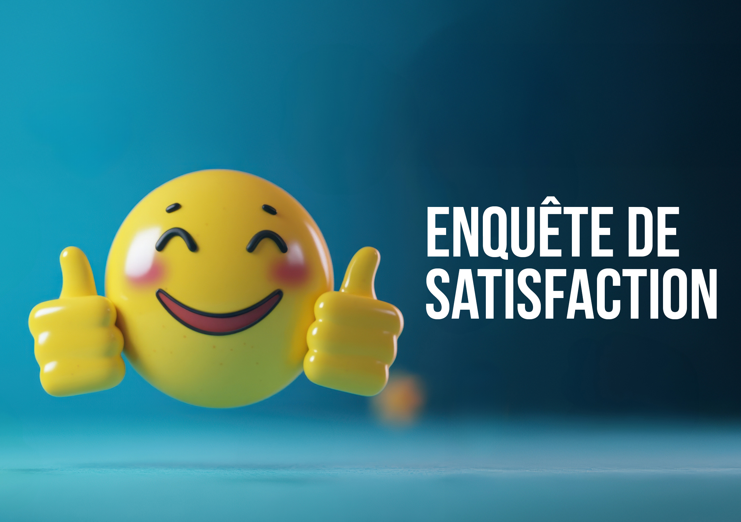 Enquête de satisfaction 2025 - SAI